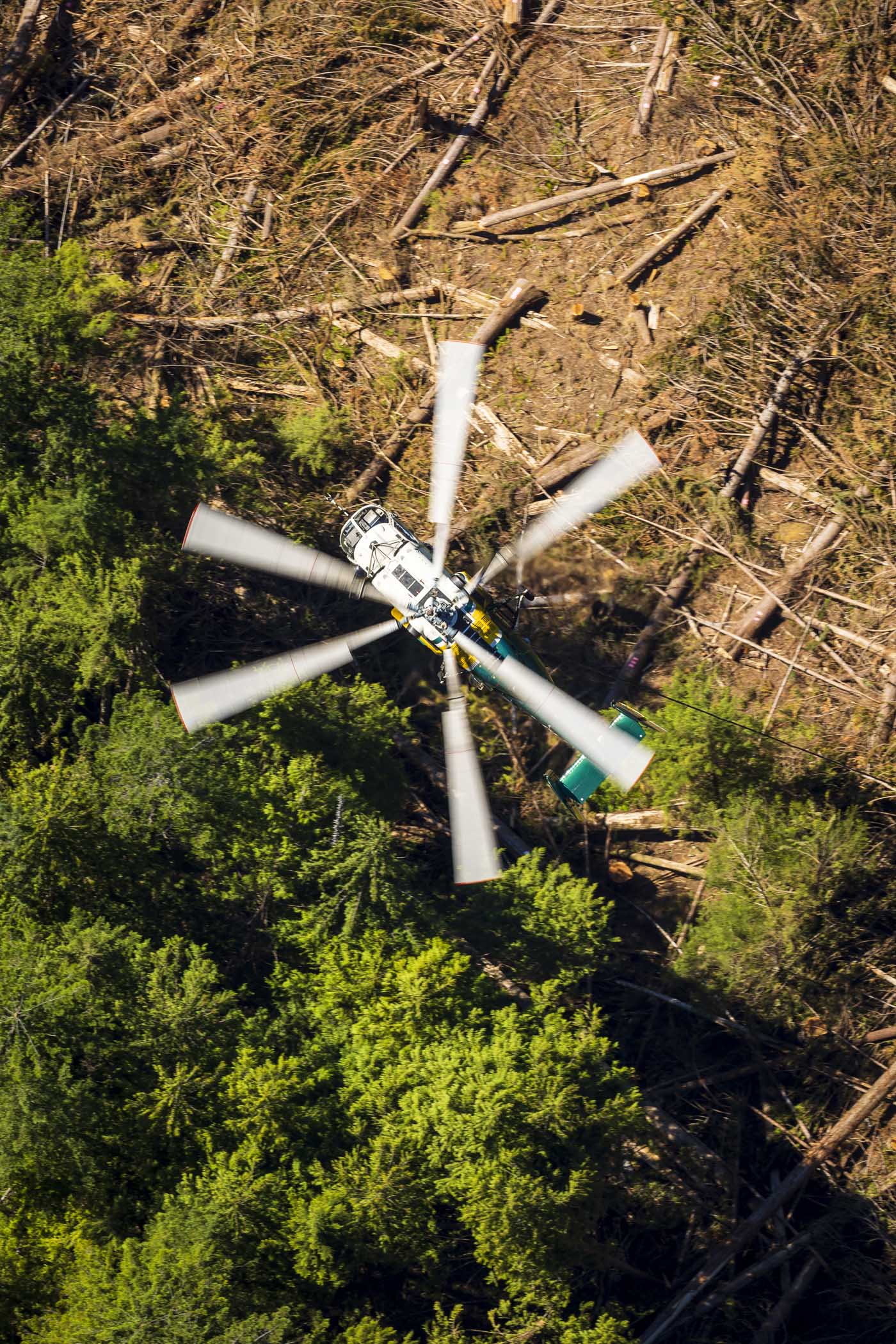 Logging Masters: On a heli-logging job with VIH Helicopters