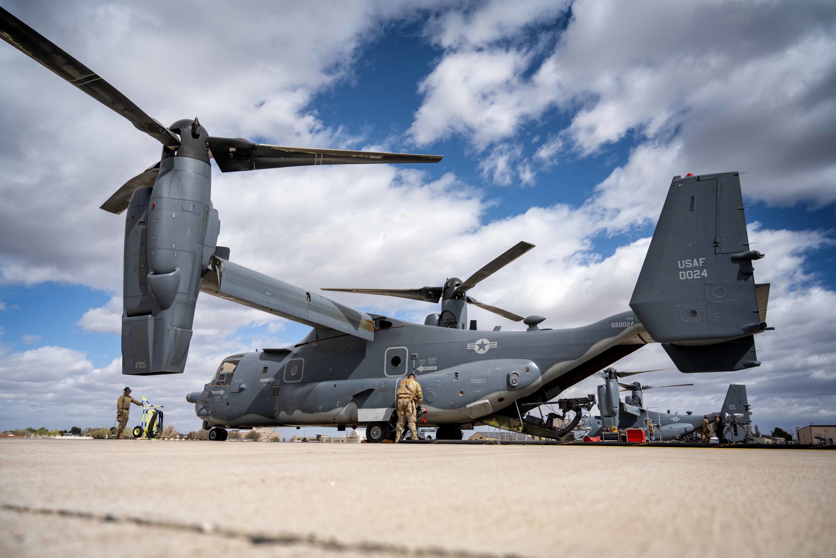 Itsy Bitsy Gopher The Looney Tunes Show Wiki Fandom, 47% OFF